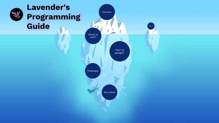 Programming Guide by William Zank on Prezi