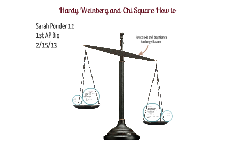 Hardy Weinberg and Chi Square How to by Sarah Ponder on Prezi