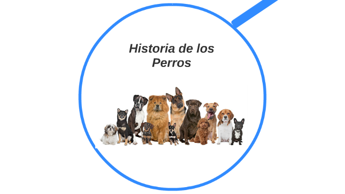 historia de los perros by oscar bonilla on Prezi