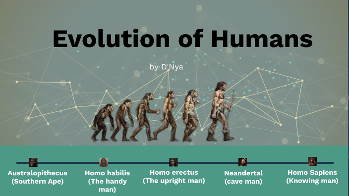 Evolution of humans by DB - 10PD 876067 Louise Arbour SS on Prezi