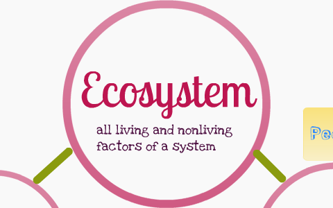 Ecosystems Graphic Organizer by Lisa Engel on Prezi