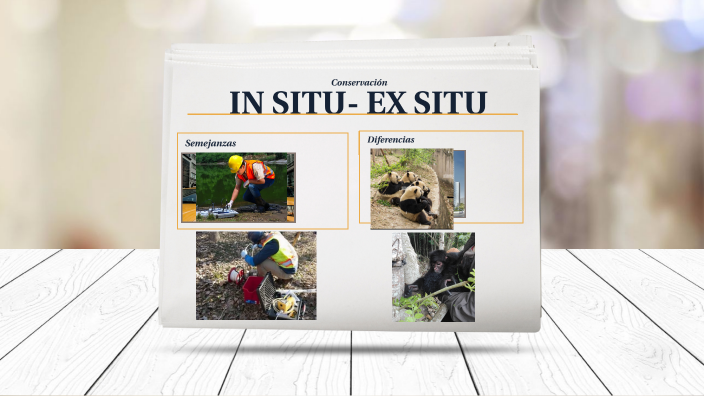 in situ exsitu by Ari ja on Prezi