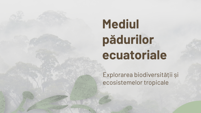 Mediul pădurilor ecuatoriale by Furtuna Adrian on Prezi