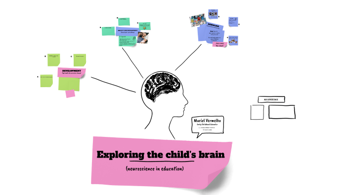 Exploring the child's brain: neuroscience in education by Muriel ...