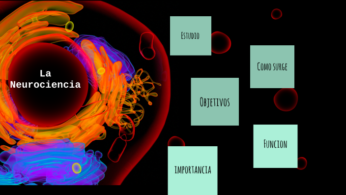 la neurociencia by Zurita Carreón on Prezi