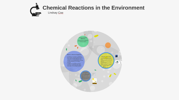 Chemical Reactions in the Environment by lindsay coe