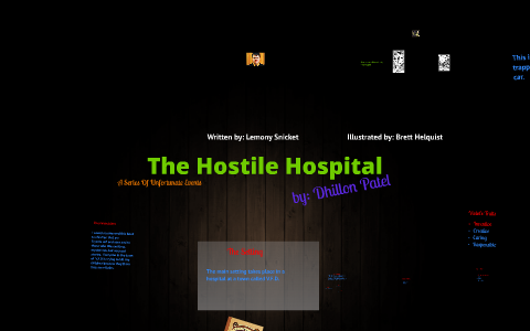 The Hostile Hospital by Margaret Price