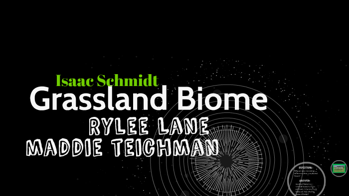 Grassland Biome by Madison Teichman on Prezi