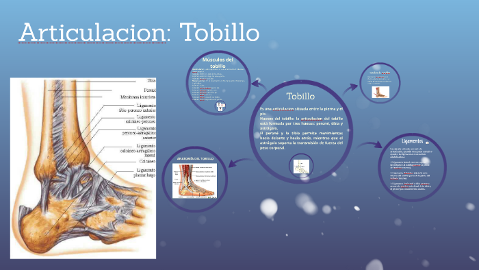 Articulacion: Tobillo by Ana LI on Prezi