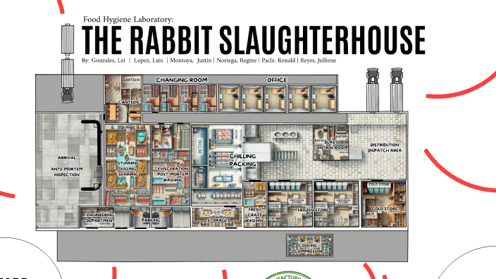 RABBIT SLAUGHTERHOUSE by Lei Angelika on Prezi