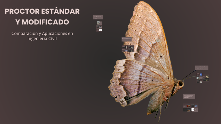 PROCTOR ESTÁNDAR Y MODIFICADO by Josue Antay Osorio on Prezi