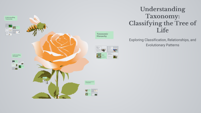 Understanding Taxonomy: Classifying the Tree of Life by Blake Drinovsky on Prezi