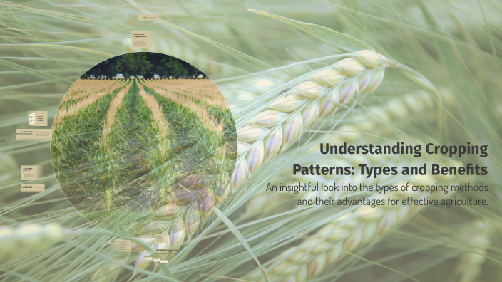 Understanding Cropping Patterns: Types and Benefits by Pranavi Sonam on ...