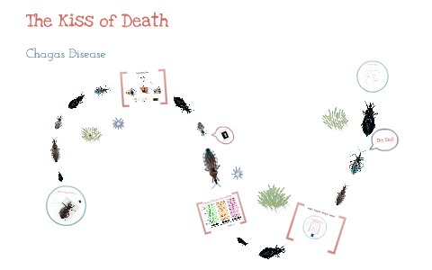 Chagas Disease: Epi Triad by Katie Nicholas on Prezi