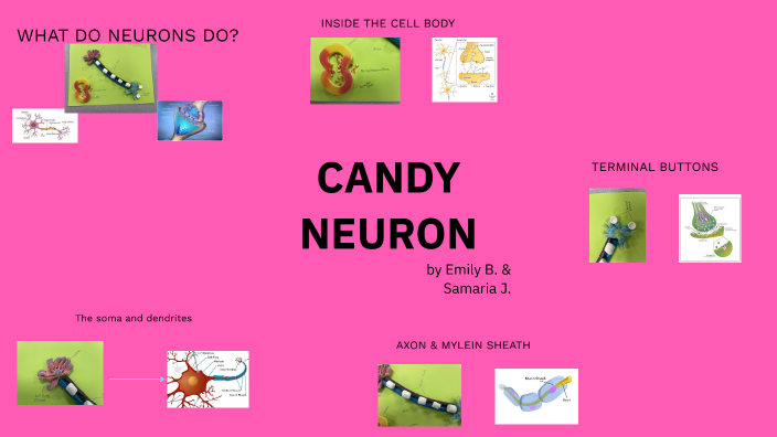 neuron candy by samaria joyner on Prezi