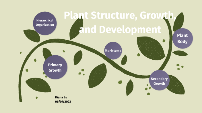 Plant Structure, Growth, and Development by YuanYuan Lu on Prezi