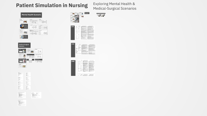 PATIENT SIM 402 by Jordan Ateshzar on Prezi