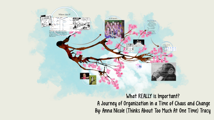 What REALLY is Important? by Anna Charette on Prezi
