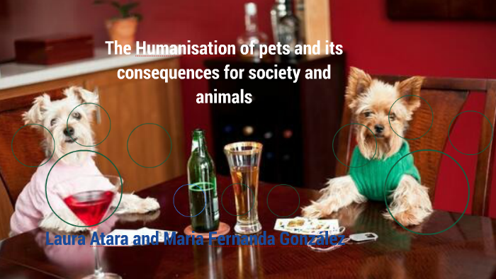 The Humanisation of pets and its consequences for society an by Maria ...