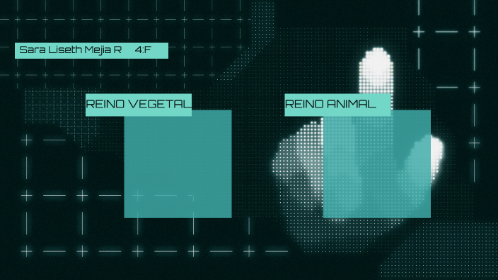 REINO VEGETAL by sara liseth Mejia on Prezi