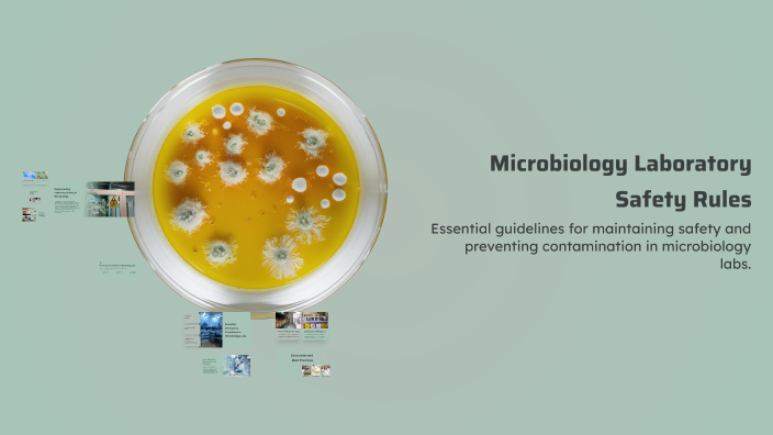 Microbiology Laboratory Safety Rules by Heidi El-Gawahergy on Prezi