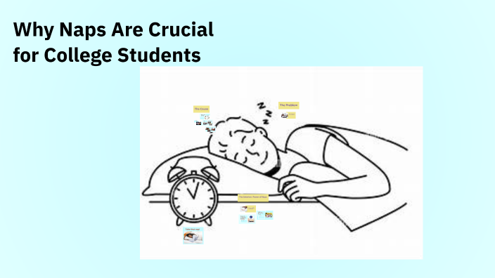Naps Are Crucial for College Students by Sarah Hoecker on Prezi