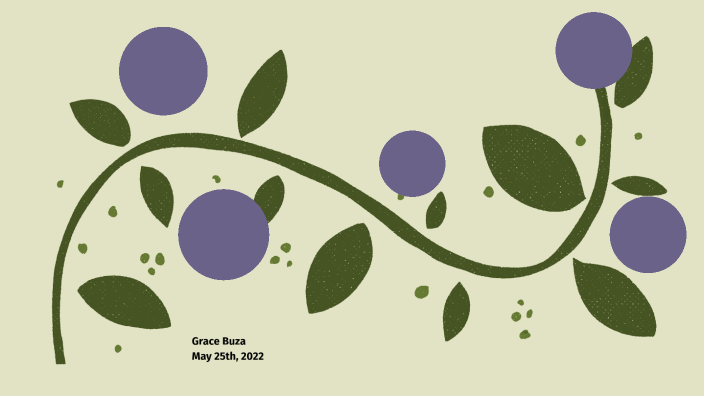 Visual Synthesis Essay by Grace Buza on Prezi