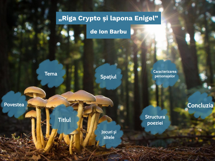 ”Riga Crypto și lapona Enigel” de Ion Barbu by Demse Kriszta on Prezi