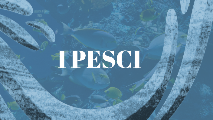 pesci by GIULIA TASCA on Prezi