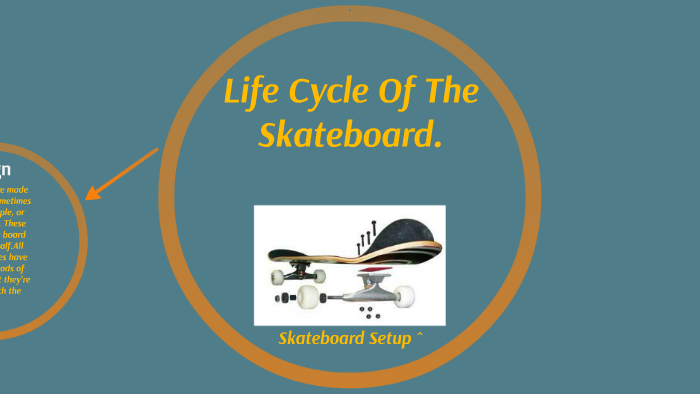 Life Cycle Of The Skateboard. by Joey Mish on Prezi