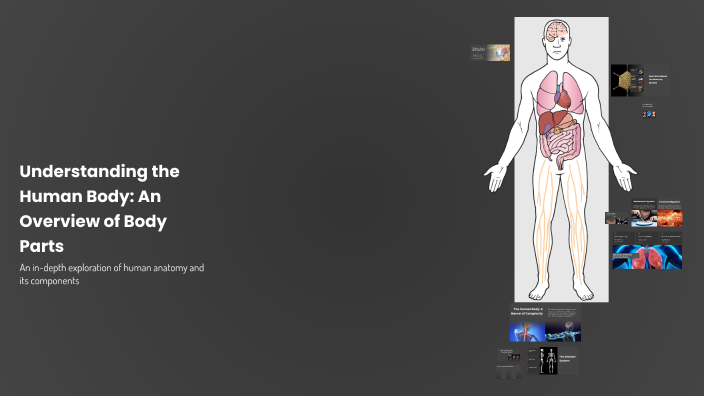 Understanding the Human Body: An Overview of Body Parts by Fátima ...