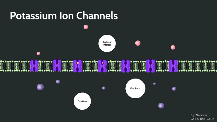 Potassium ion Channels by sabrina shi on Prezi