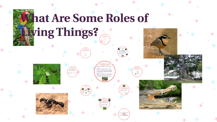 What Are Some Roles of Living Things? by Joan Smith on Prezi
