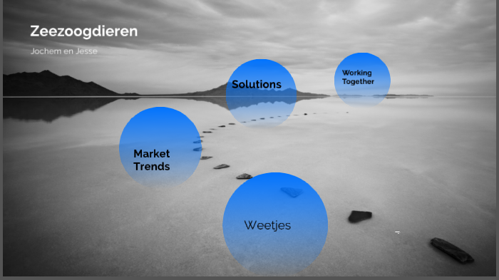 zeezoogdieren by Jesse de Groot on Prezi