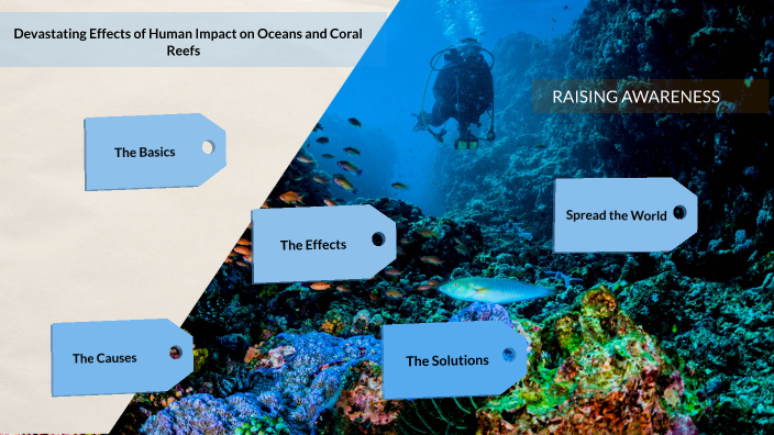The Devastating Effects of Human Impact on Oceans and Coral Reefs by ...