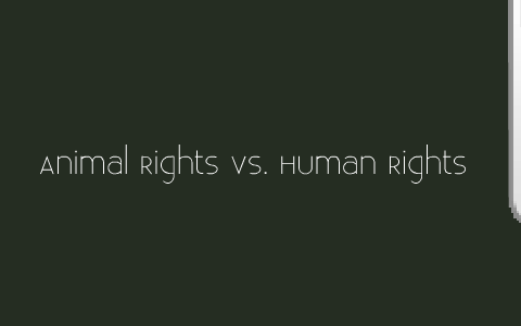 Animal Rights Vs. Human Rights by Marissa Blanchard on Prezi