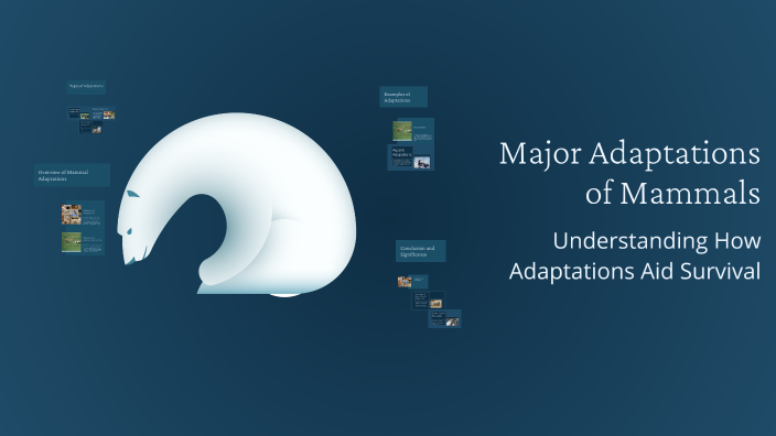 Major Adaptations of Mammals by Braylen Davis on Prezi