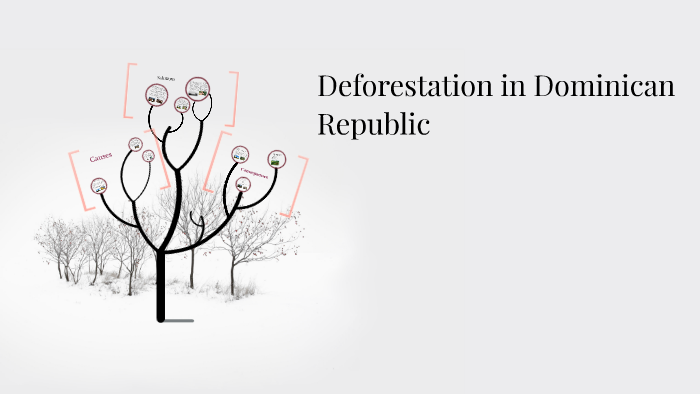 Deforestation in dominican republic by Luis Eduardo Matos Asilis on Prezi