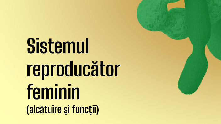 sistemul reproducator feminin by Mihaela Balan on Prezi