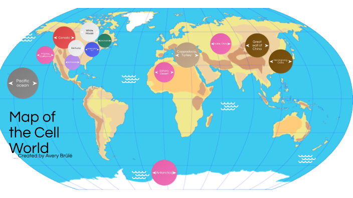 Cell Model (Around the world) by Avery Brule on Prezi