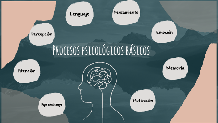 Procesos psicológicos básicos by Daniela Olave on Prezi