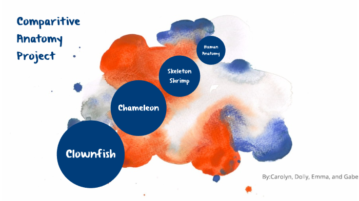 Comparative Anatomy Project by Carolyn Dickte on Prezi