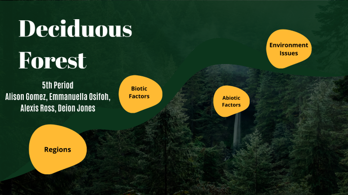 Deciduous Forest- Biome Presentation by Alison Gomez-Cortes on Prezi