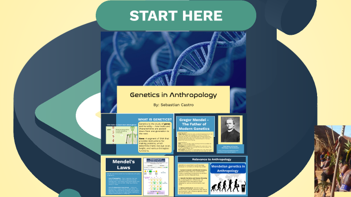 Genetics and Anthropology: How DNA Connects Us to Our Past and Present ...