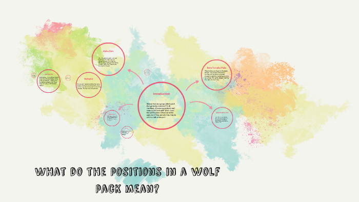 What do the positions in wolf packs mean? by Emalee Hoskins on Prezi