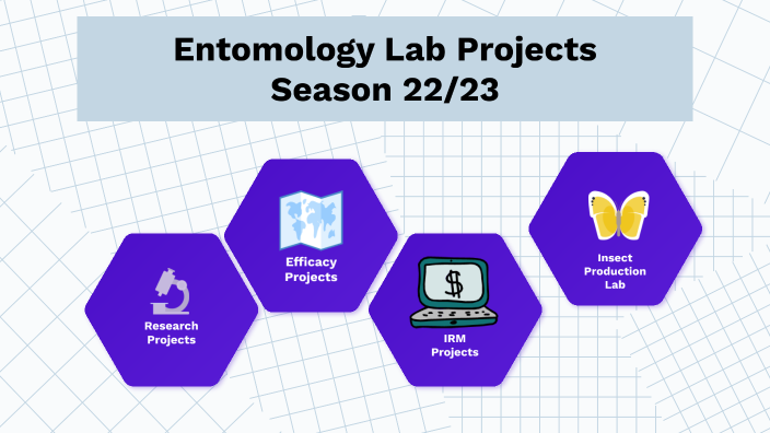 Entomology Laboratory Projects Season 22/23 by Fernando Souza on Prezi
