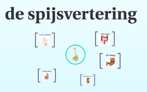 de spijsvertering by Jim Sluis on Prezi