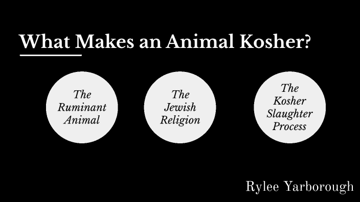 What Makes an Animal Kosher? by Rylee Yarborough on Prezi