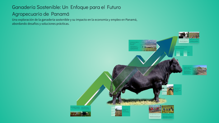 Ganadería Sostenible: Un Enfoque para el Futuro Agropecuario de Panamá ...