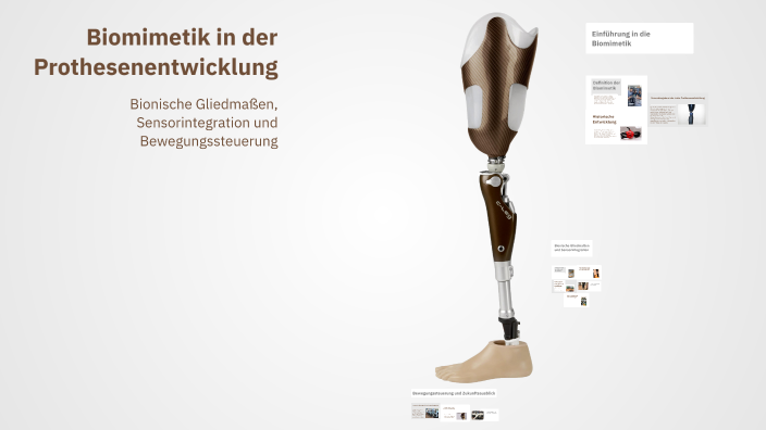 Biomimetik in der Prothesenentwicklung by Celine Bartschinski on Prezi